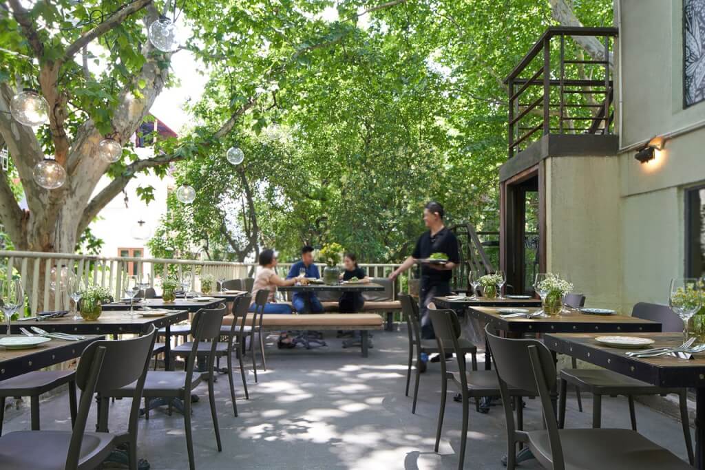 Ginger - SHANGHAI-ZINE 上海人